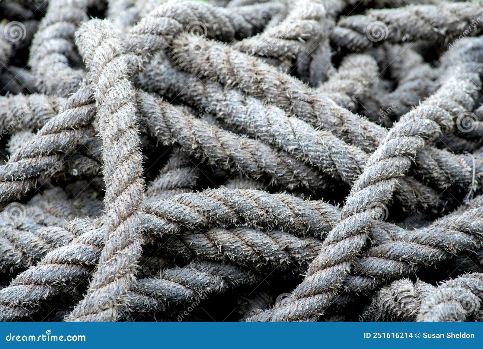 Old Rustic Rope in a Big Pile Stock Photo - Image of connection, nature ...