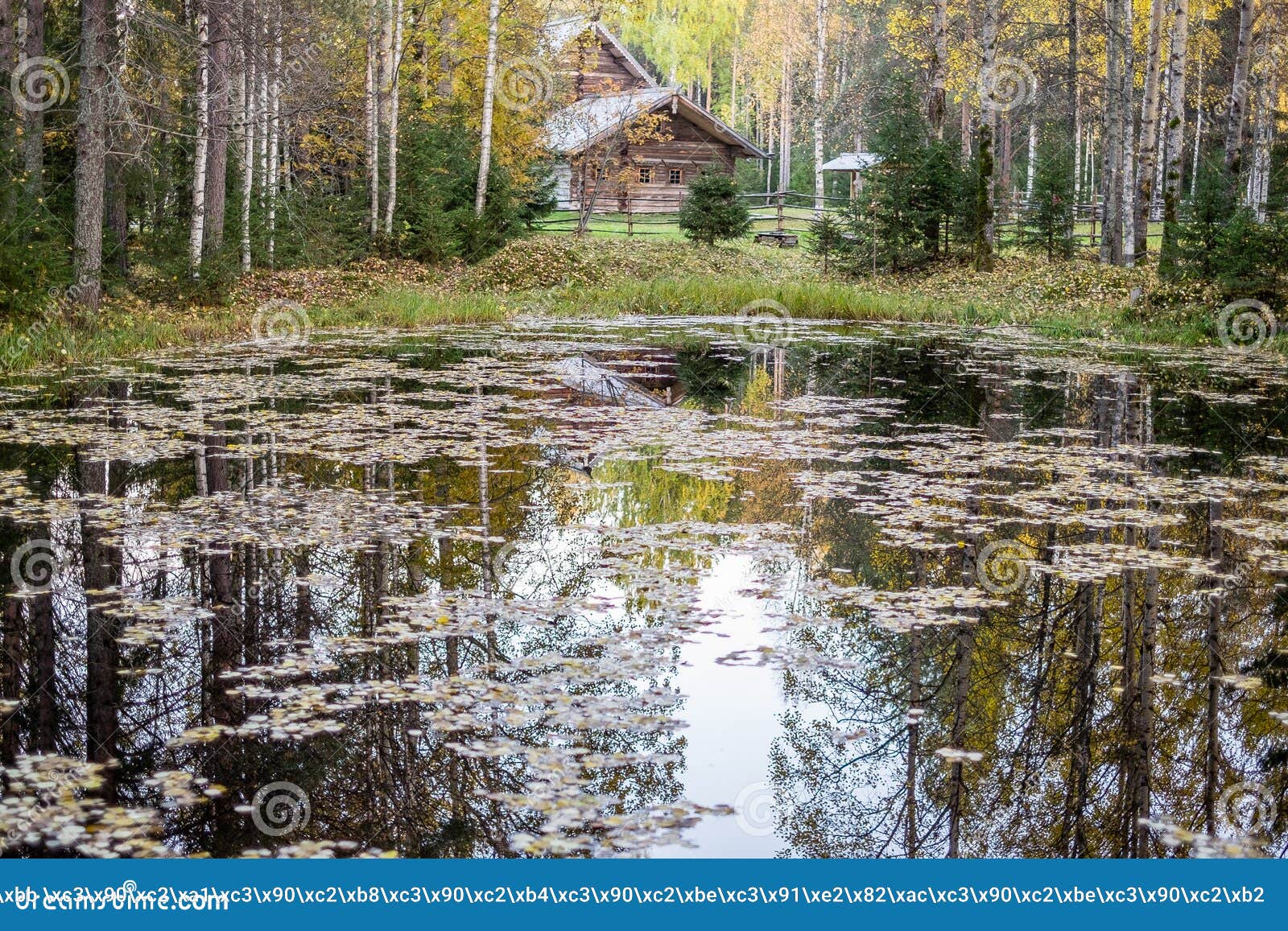 Old Rustic Russian House from Logs Stock Photo - Image of farm ...