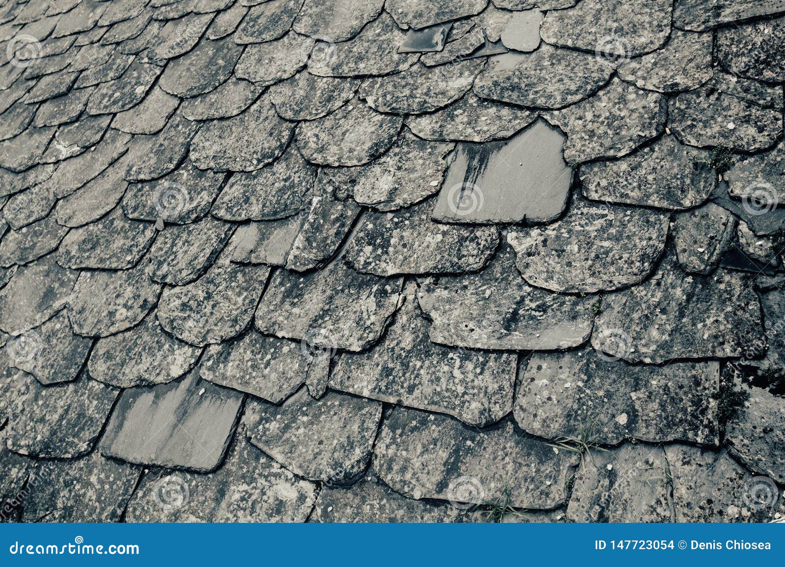 Old and Rustic Slate Roof, Slate Texture with Moss. Stock Photo - Image ...
