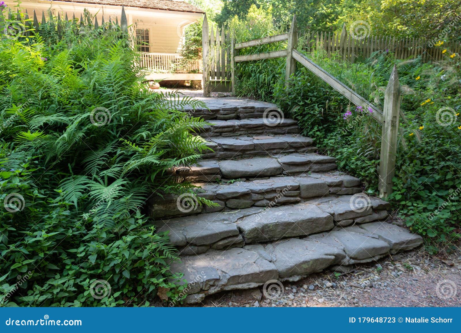 Old Rustic Stone Stairs Bordered with Ferns and Wildflowers Stock Image ...