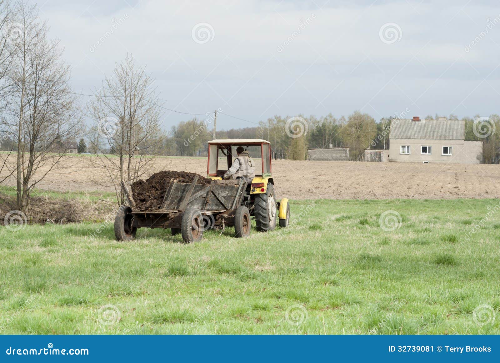 Old Rustic Tractor Delivering Manure. Stock Image - Image of country ...