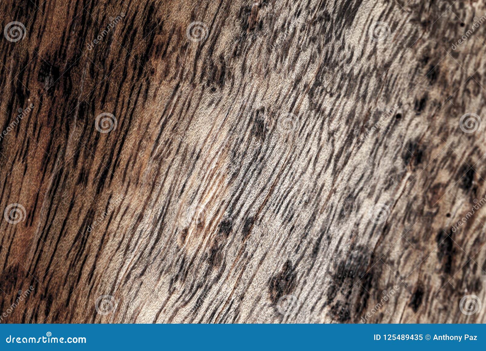 Old rustic wood texture stock image. Image of black - 125489435