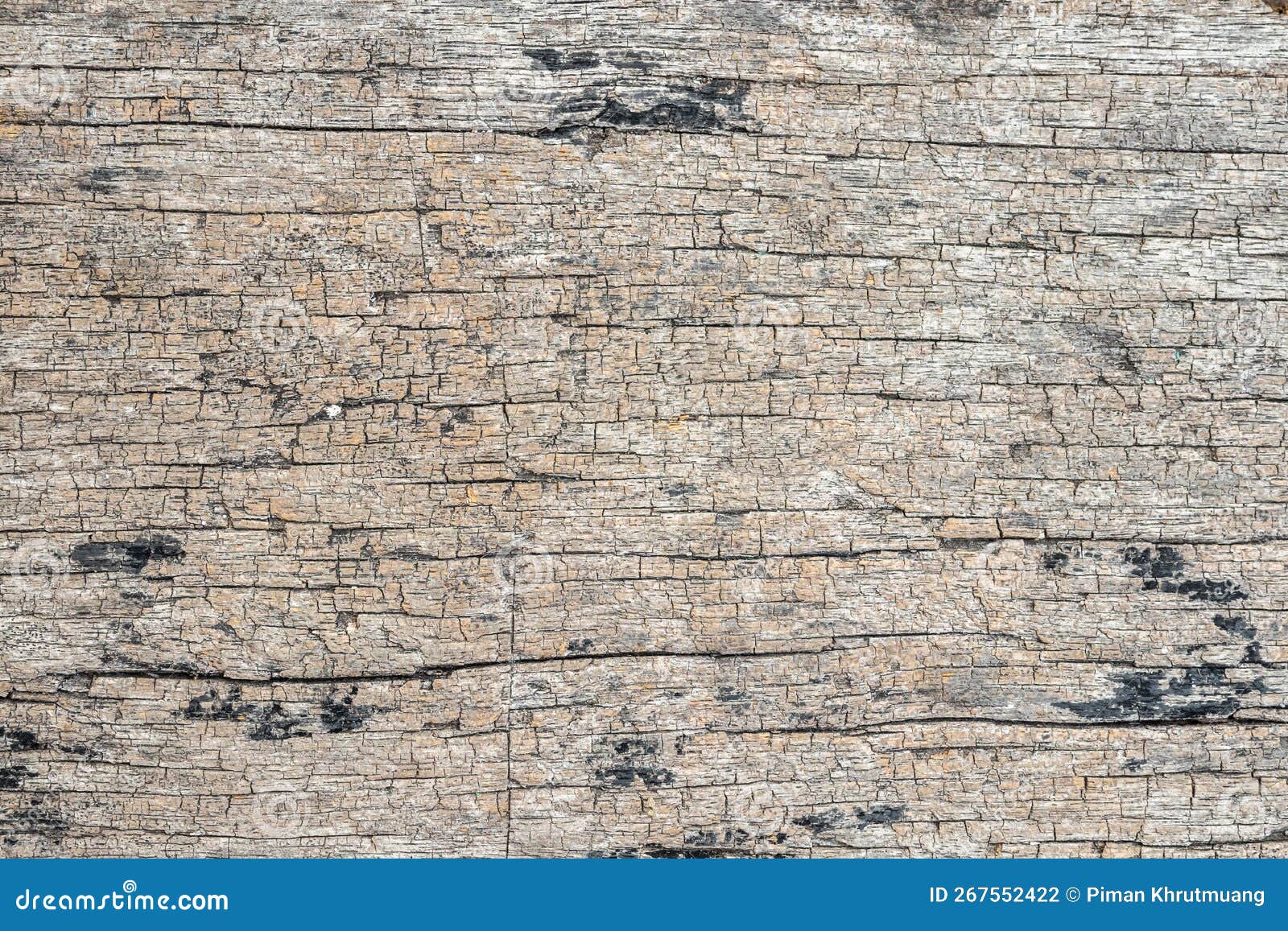 Old Rustic Wood Texture Background Stock Photo - Image of abstract ...