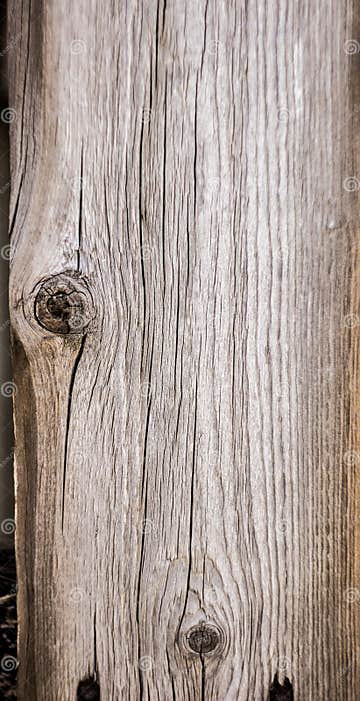 Old and Rustic Wood Texture with Natural Pattern for Inner Design and ...