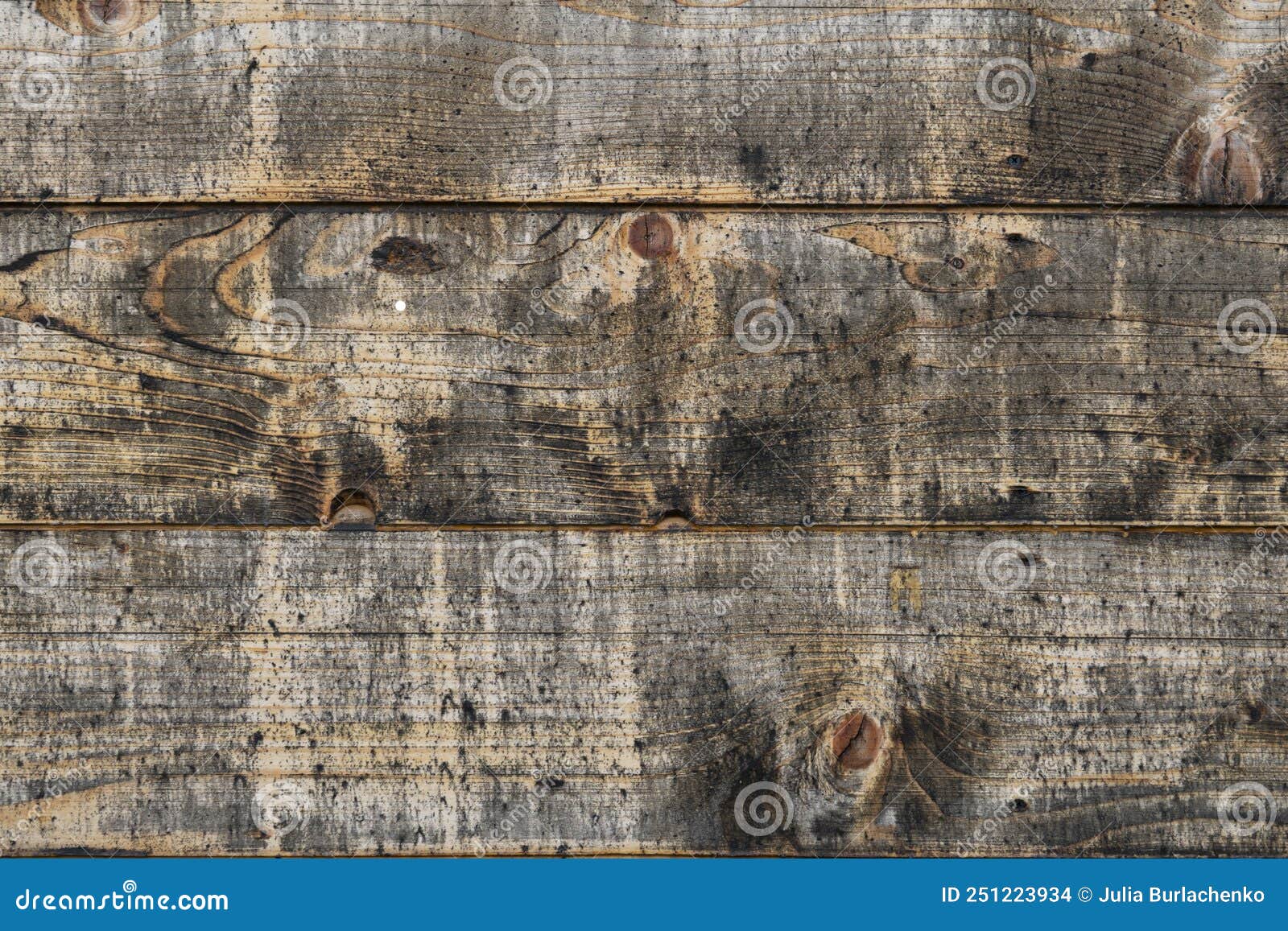 Old rustic wood texture stock photo. Image of aged, grungy - 251223934