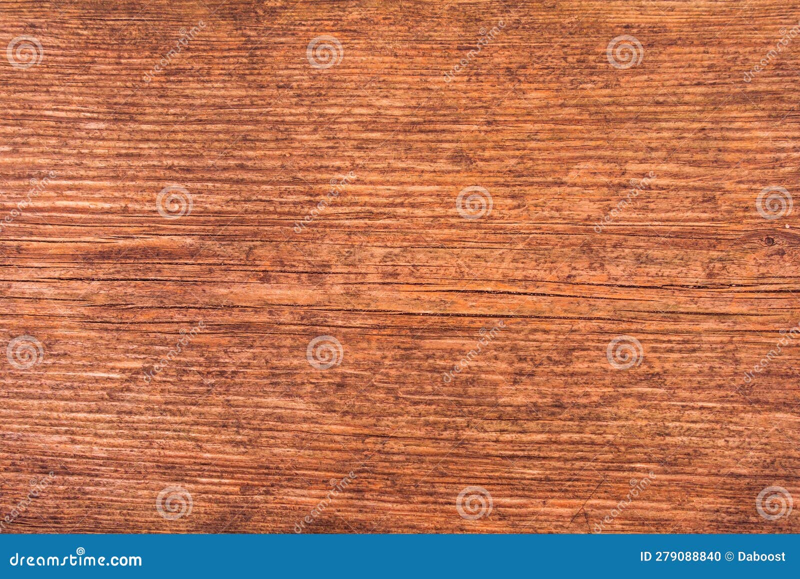 Old rustic wood texture stock photo. Image of abstract - 279088840