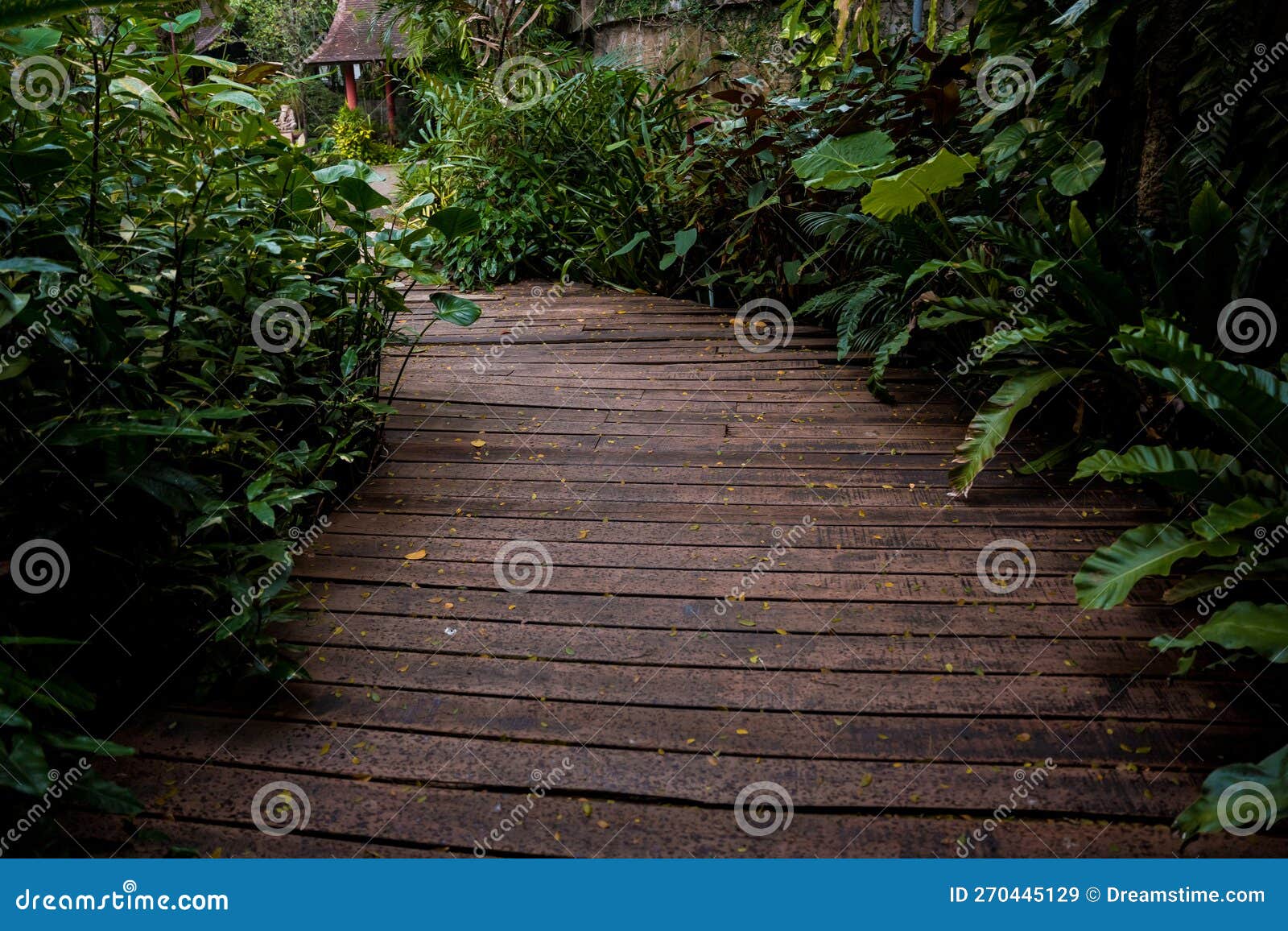 Old Rustic Wooden Stairs in the Garden. Stock Image - Image of step ...