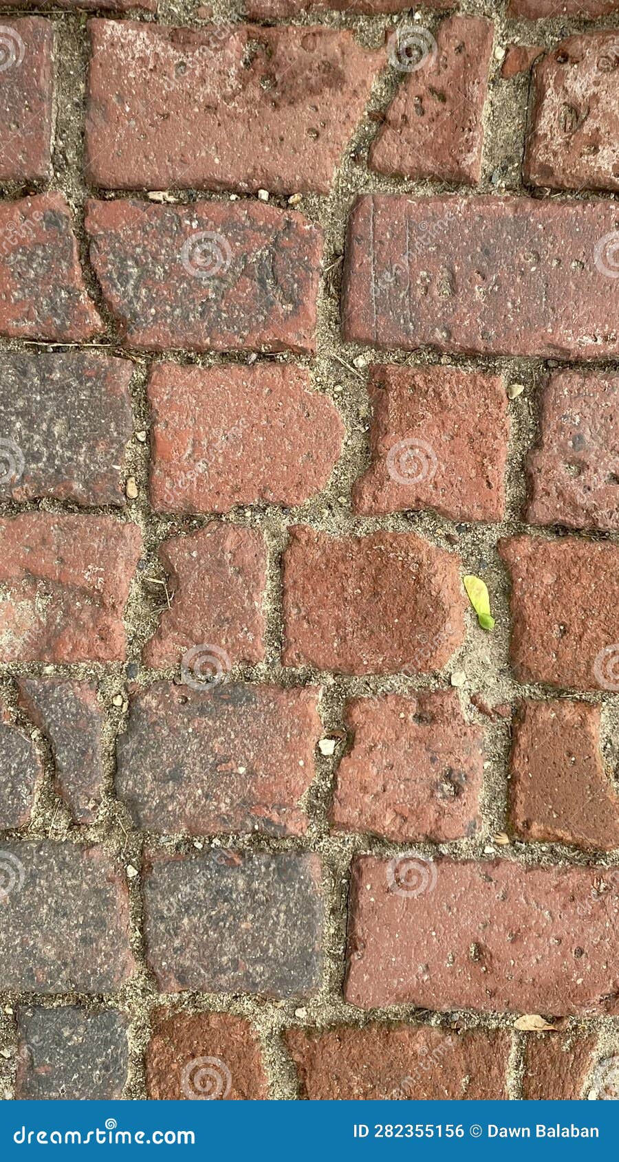 Red Brick Walking Stones on Path Stock Photo - Image of bricks, worn ...