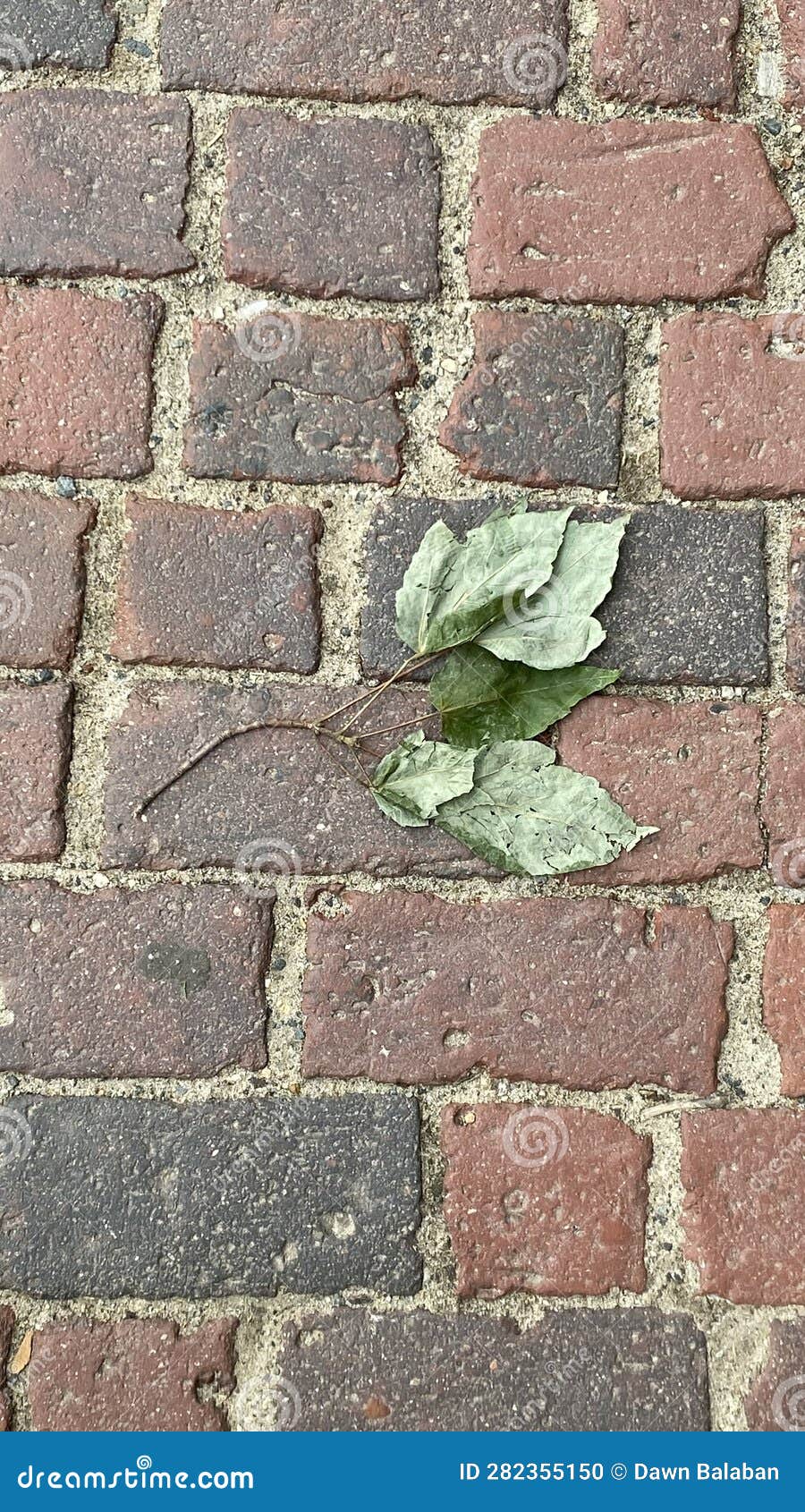 Red Brick Walking Stones on Path Stock Photo - Image of small, park ...