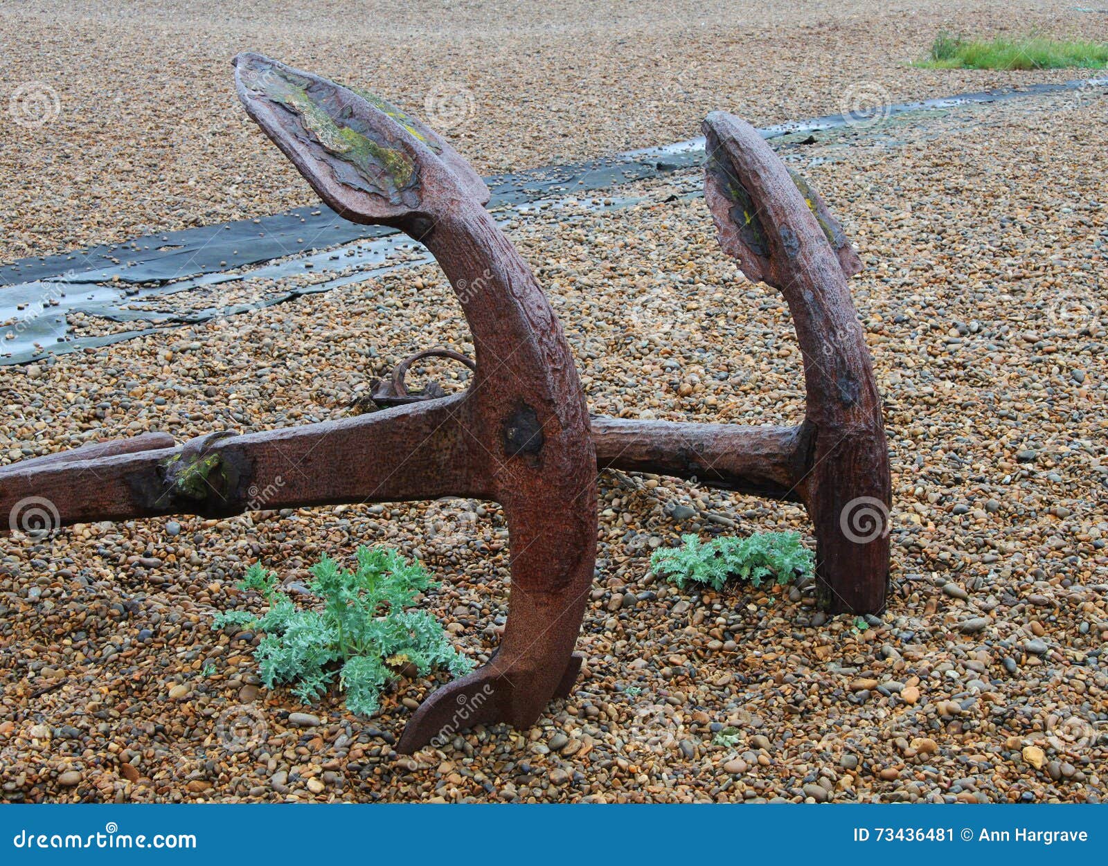 Old Rusting Anchors stock image. Image of brown, rusted - 73436481