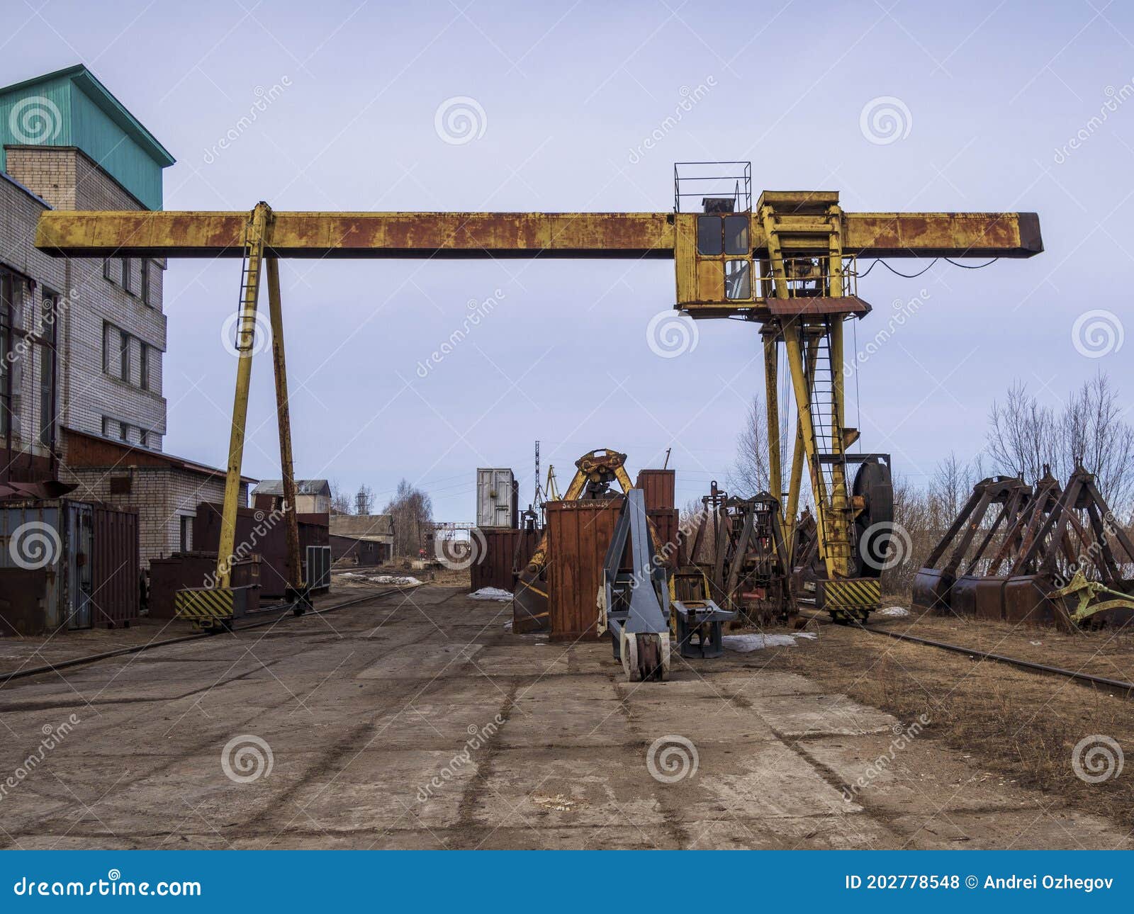 Dead Crane Fly Lying On Its Back, Tipula, Isolate Royalty-Free Stock ...