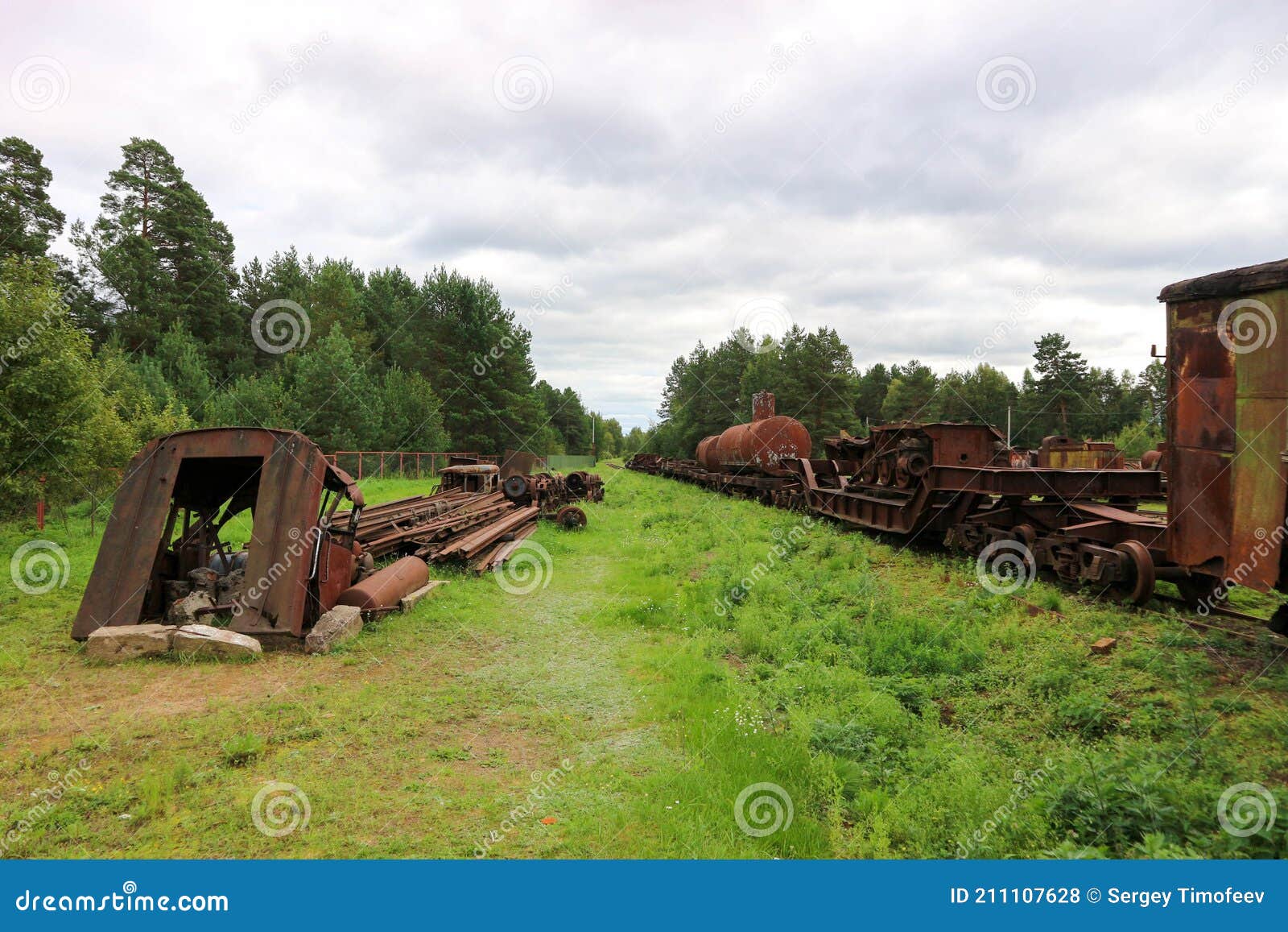 Old Rusty Abandoned Train in the Forest Stock Photo - Image of ...