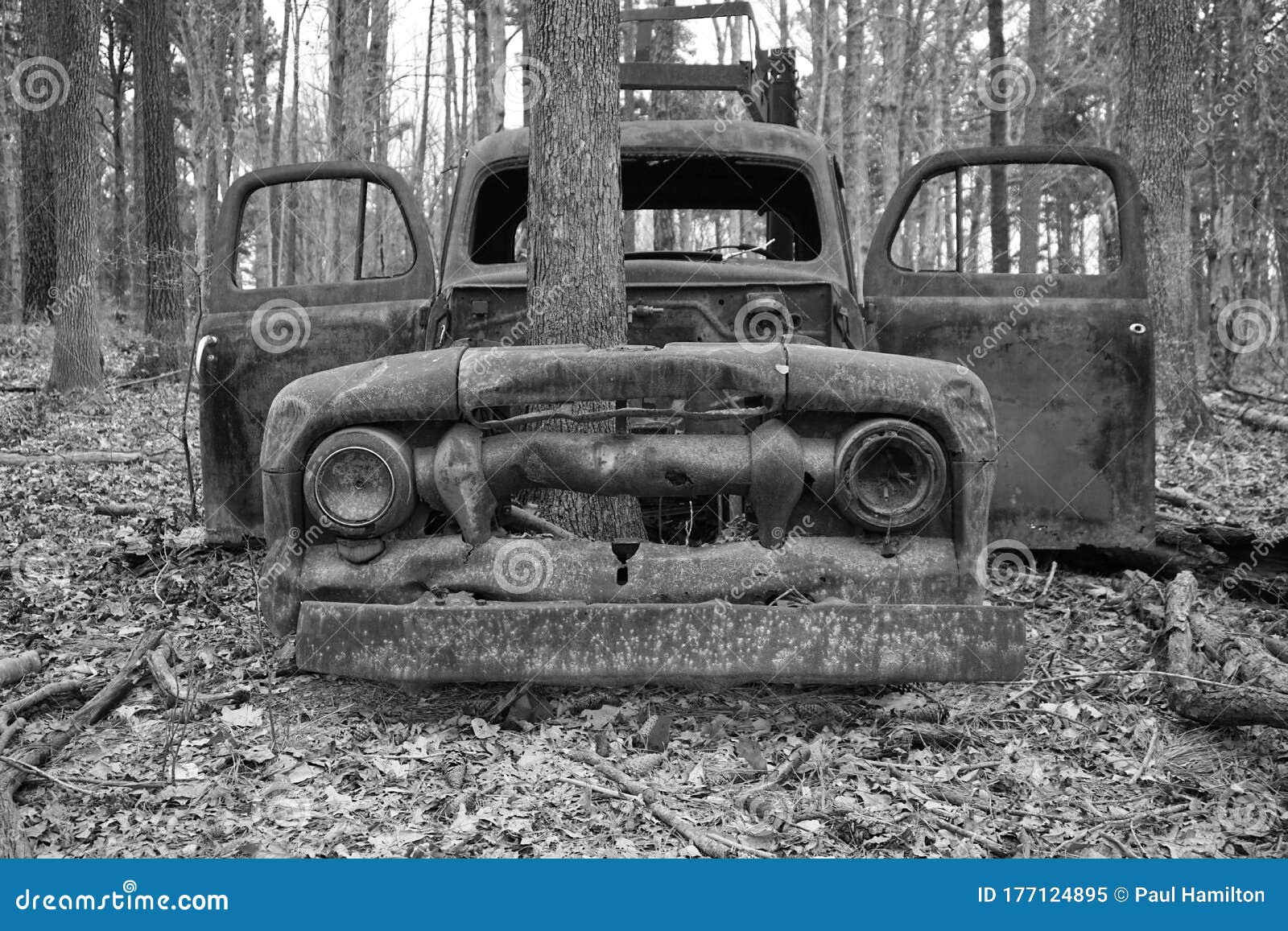 Old Rusty Abandoned Truck with a Tree Growing through the Engine ...