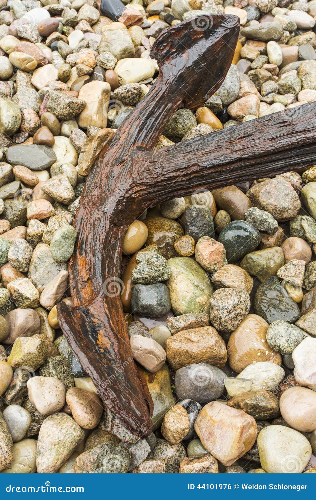 Old Rusty Anchor on Rocks, Newfoundland Stock Photo - Image of rock ...
