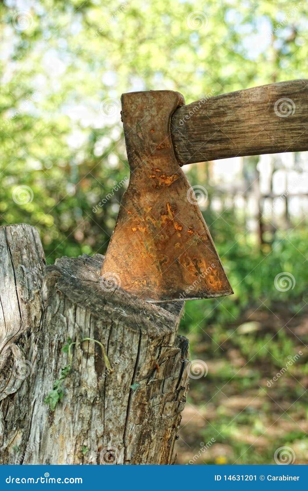 Old rusty ax stock image. Image of vertical, stump, green - 14631201