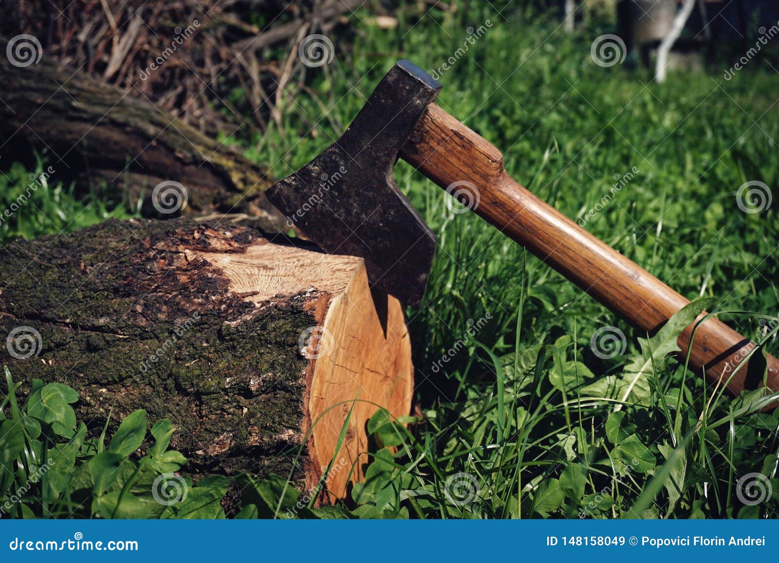 Old Rusty Ax in a Cut Tree stock image. Image of grass - 148158049