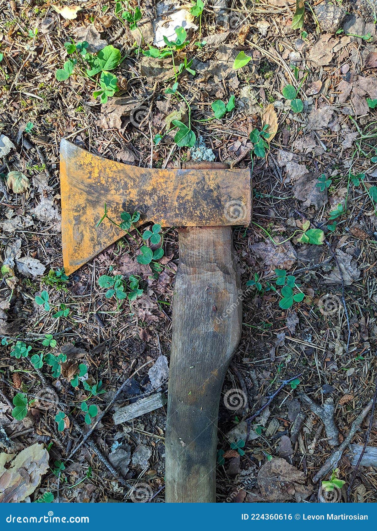 Old and Rusty Ax with a Wooden Handle on the Grass in the Forest. Stock ...