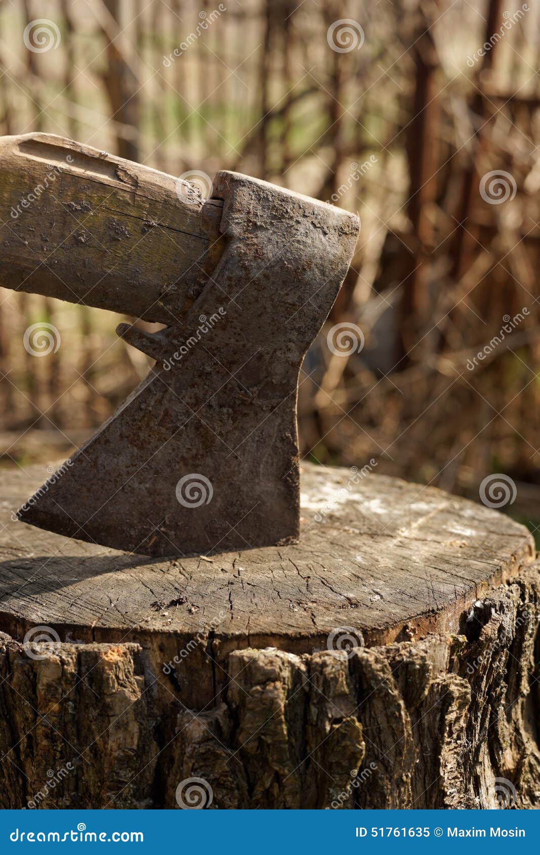 Old rusty axe. stock image. Image of forest, horizon - 51761635
