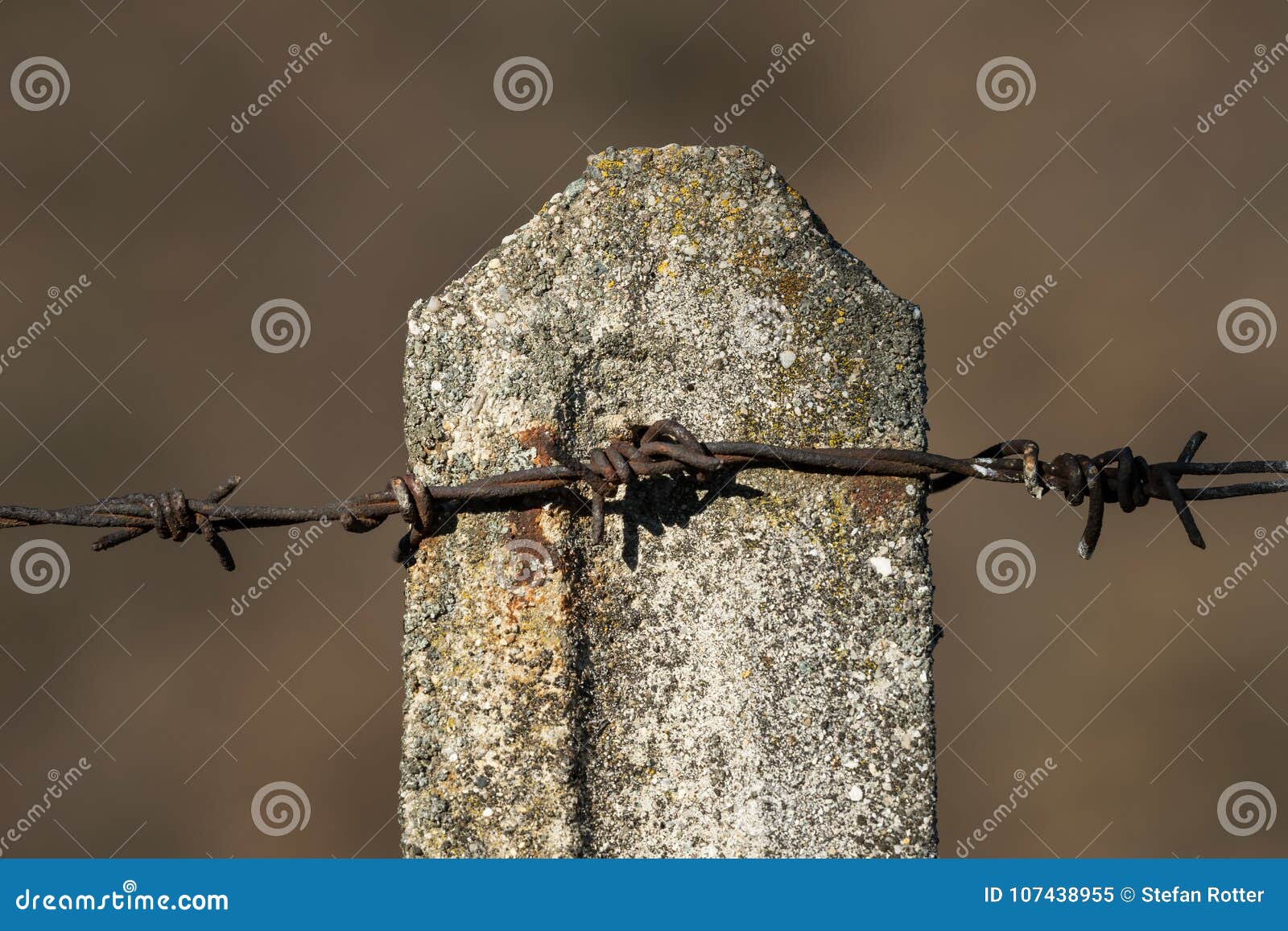 Old Rusty Barbed Wire on a Concrete Post Stock Image - Image of ...