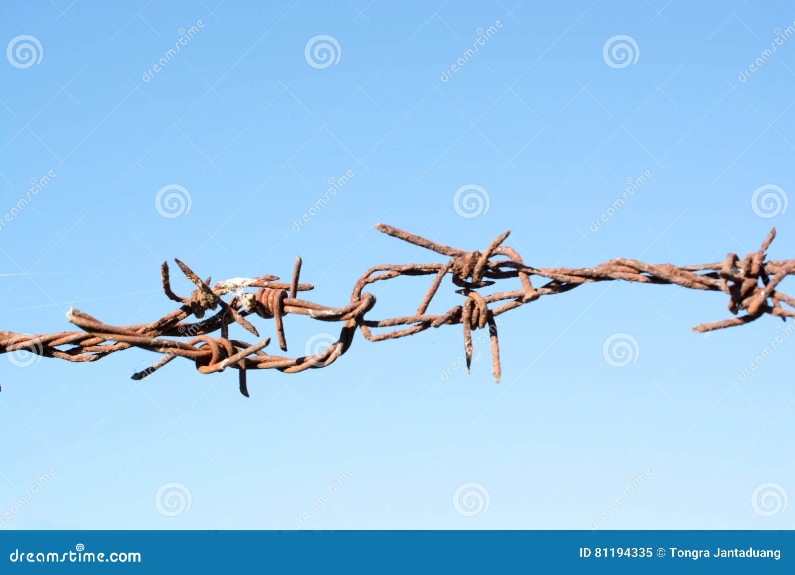 Old Rusty Barbed Wire Dark Brown, Full of Scary Clashed with Be Stock ...