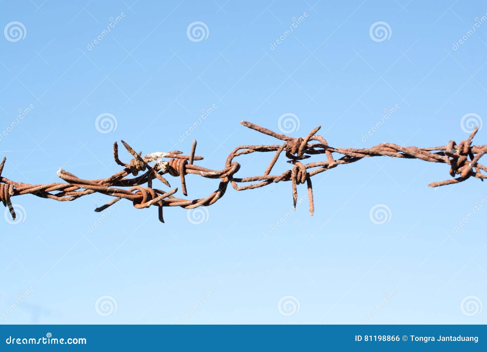 Old Rusty Barbed Wire Dark Brown, Full of Scary Clashed with Be Stock ...