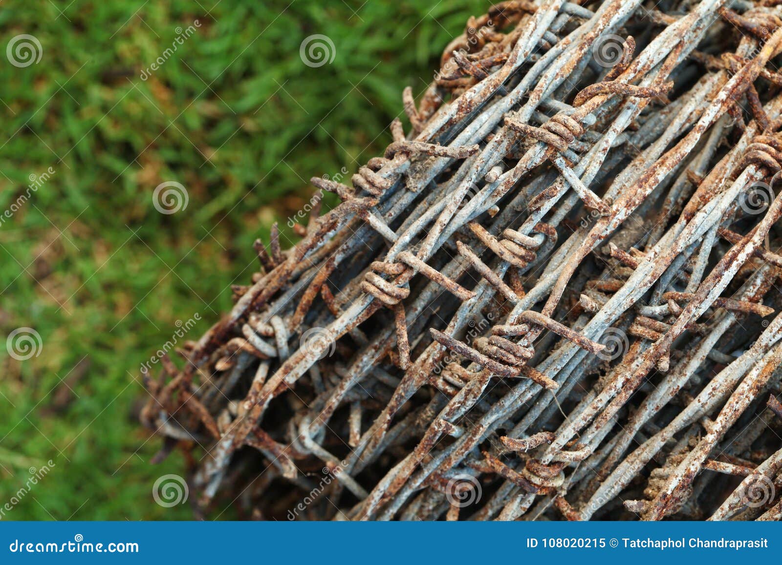 Barbed wire scene. stock image. Image of fence, dirty - 108020215