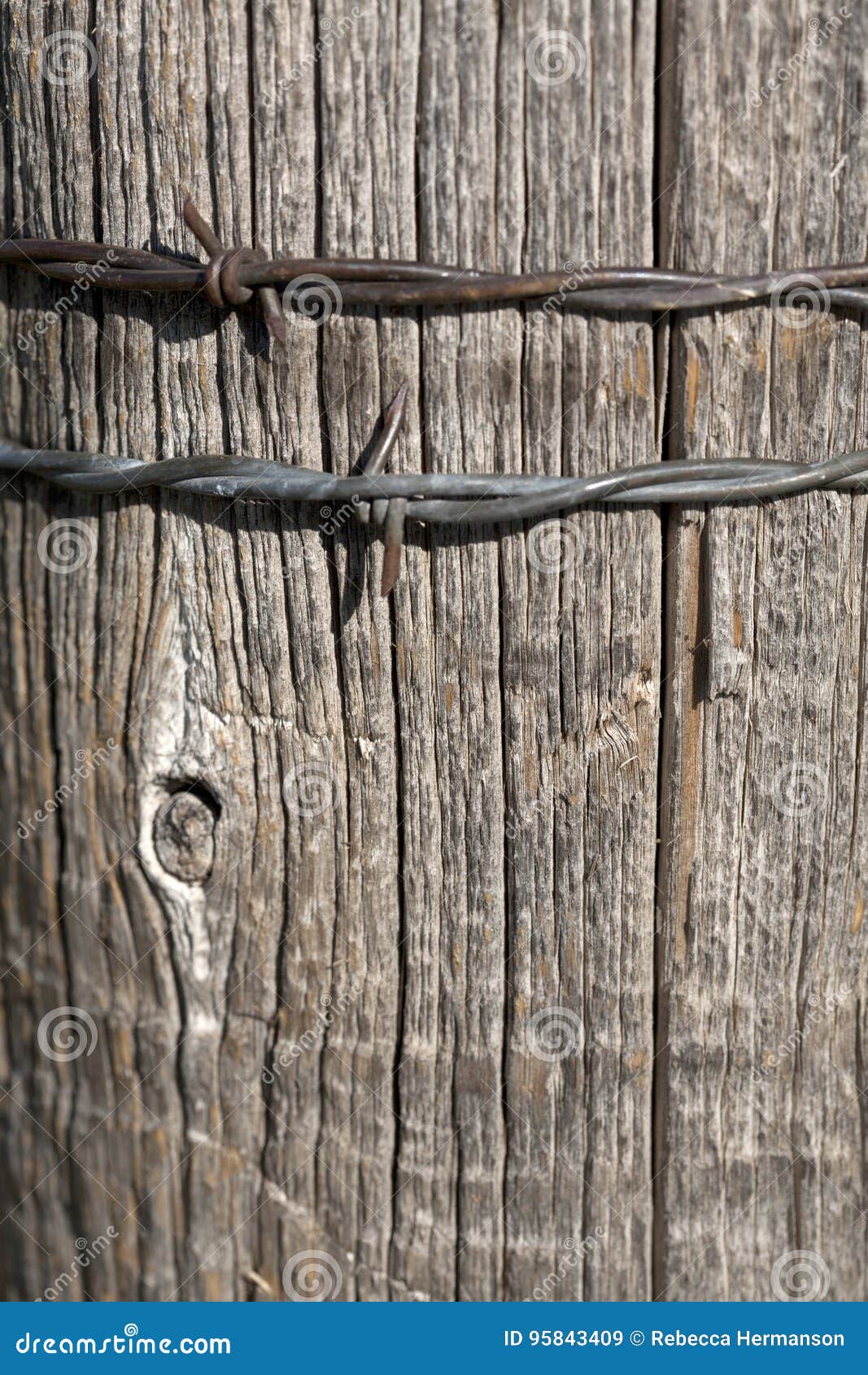 Old rusty barbed wire stock image. Image of grey, rusty - 95843409