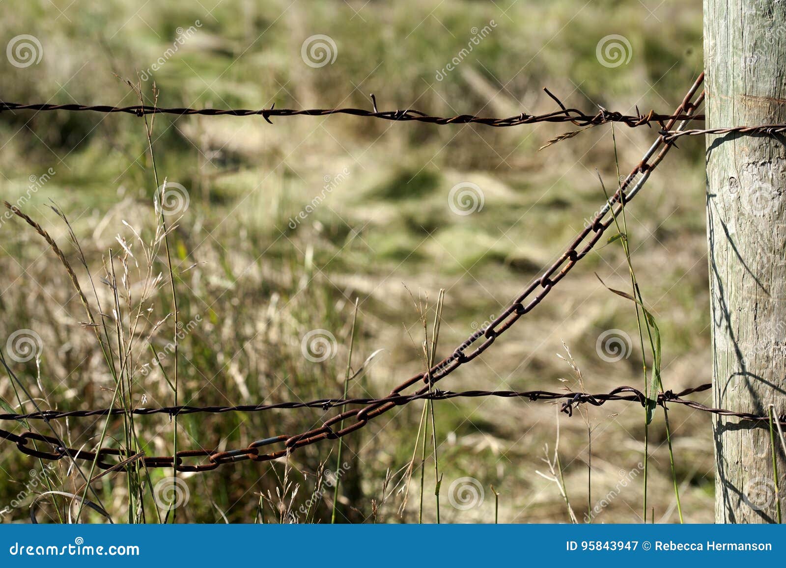 Old rusty barbed wire stock image. Image of wire, rectangle - 95843947