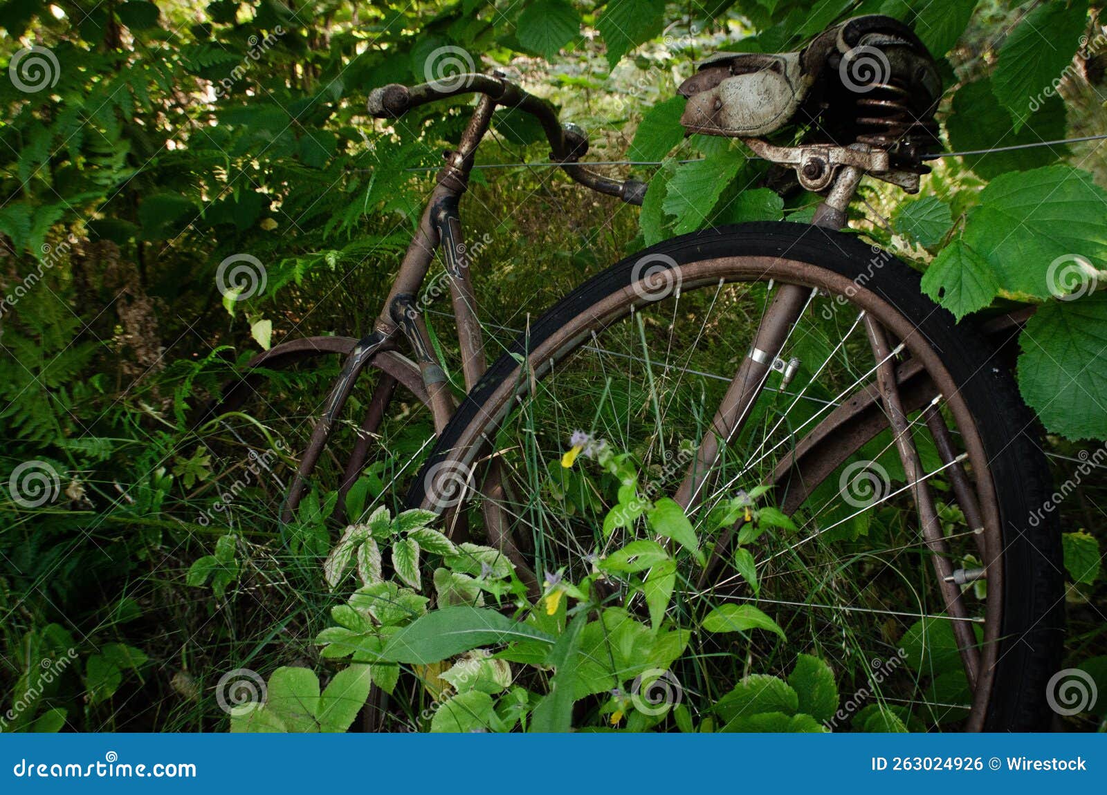 Old Rusty Bike Abandoned in an Overgrown Park Stock Photo - Image of ...