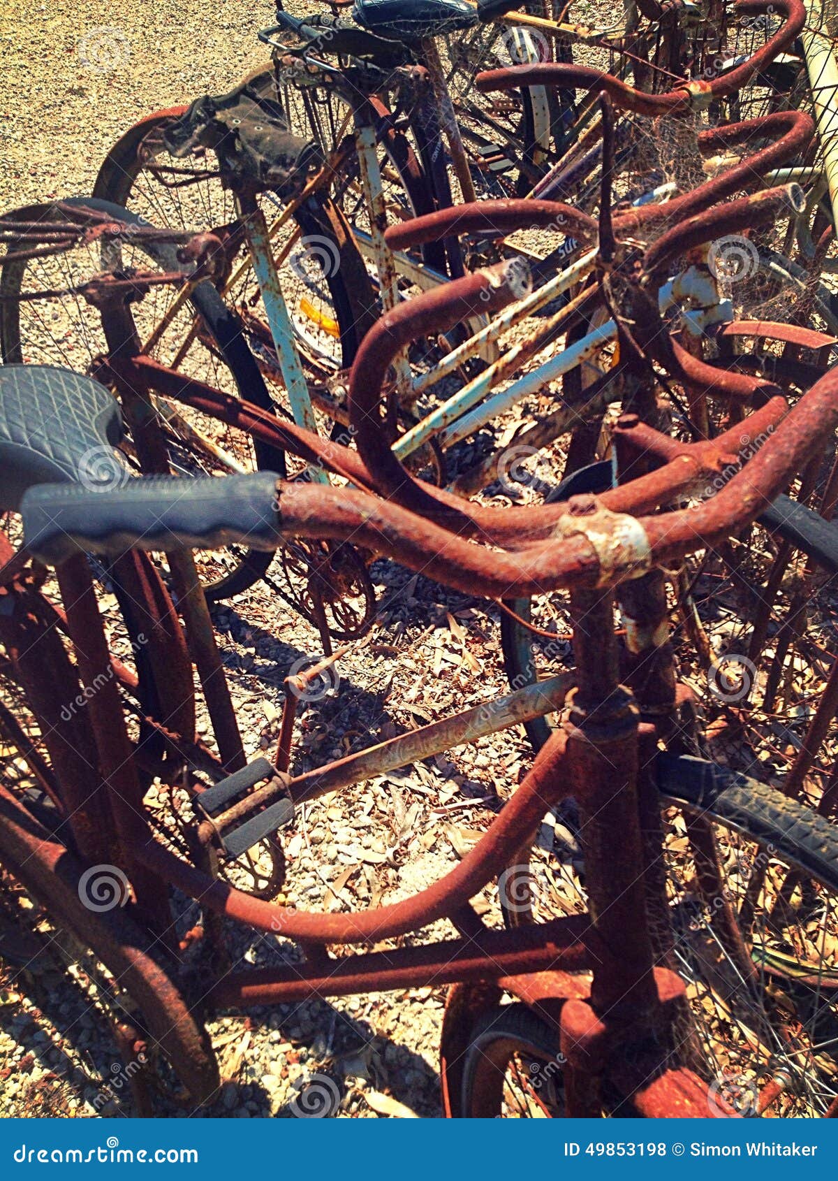 Old rusty bikes stock photo. Image of lost, junk, bike - 49853198