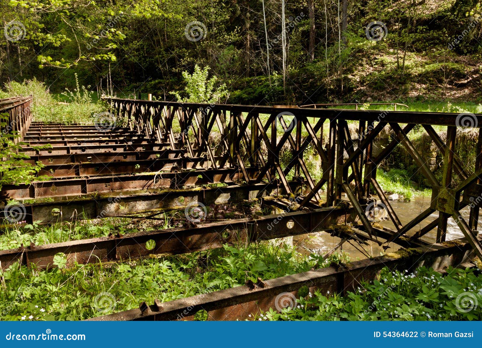 Old rusty bridge stock photo. Image of steel, forest - 54364622