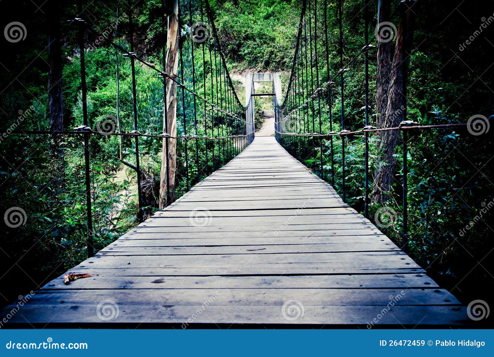 Old, Rusty Bridge, Rainforest, Color Processed Stock Image - Image of ...