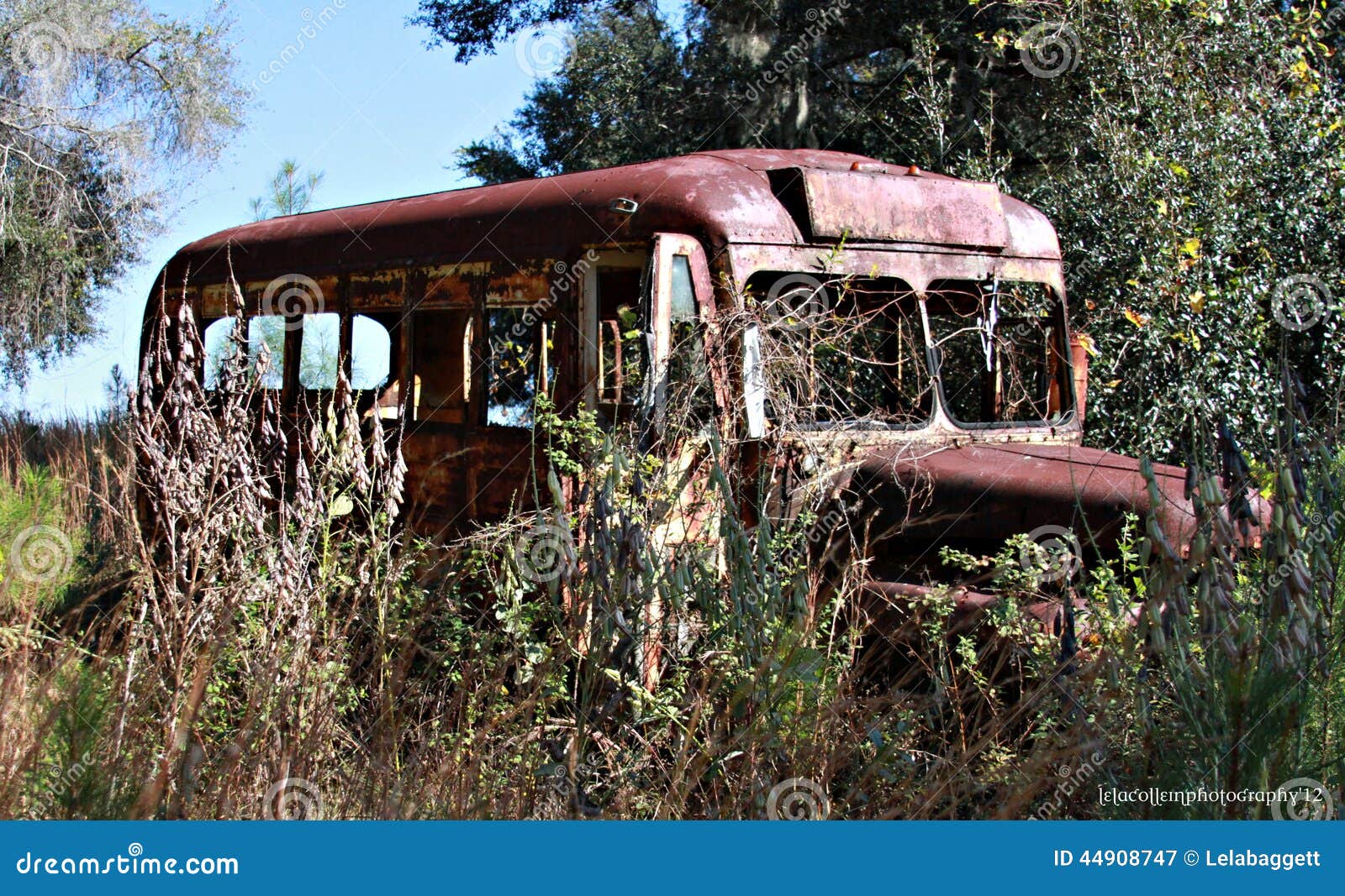Old Rusty Bus stock image. Image of left, woods, middle - 44908747