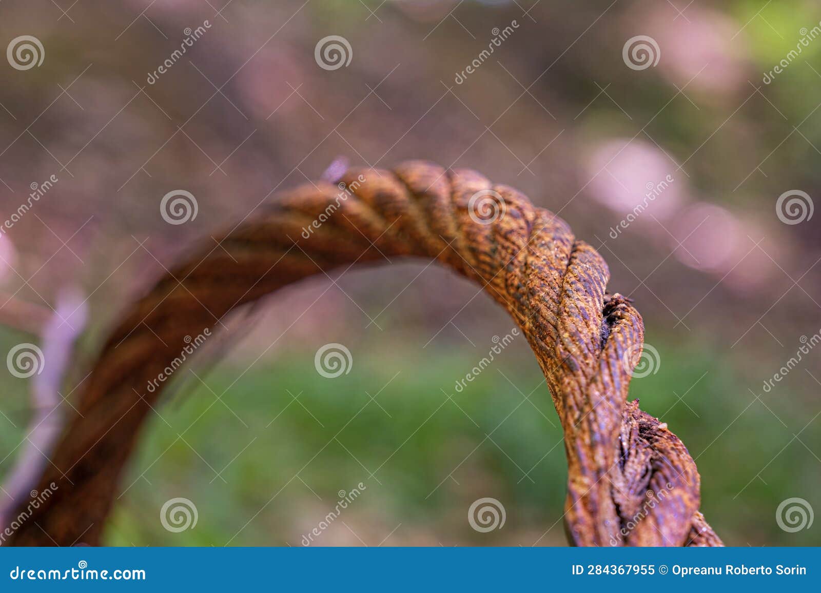 Old Rusty Cable in the Forest Stock Image - Image of abstract, lead ...