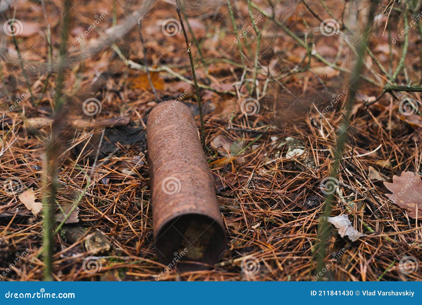 An Old Rusty Can of Construction Foam Lies Thrown Away in the Forest ...