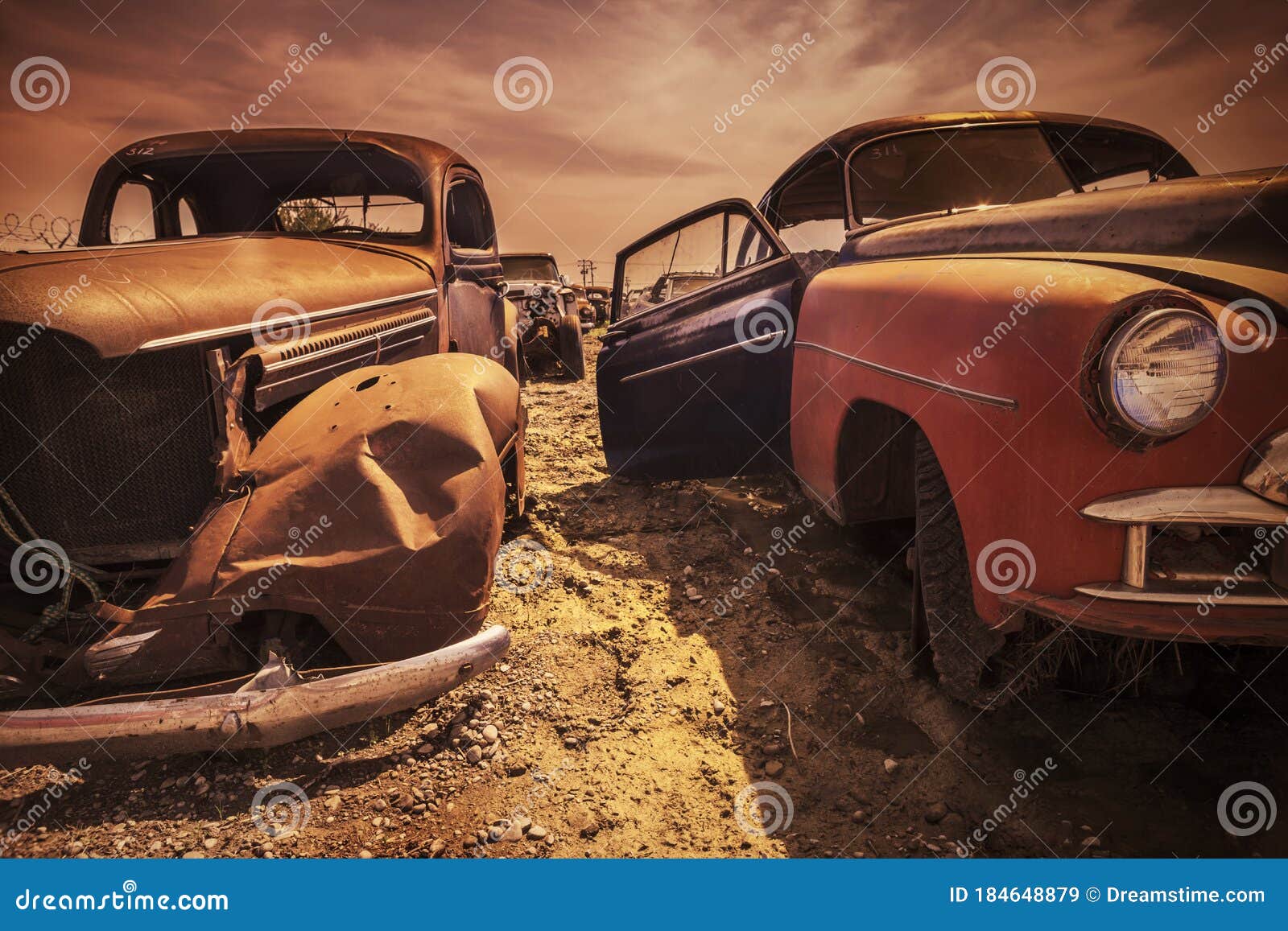 Two Old Rusty Cars in Junk Yard Stock Image - Image of people, yard ...
