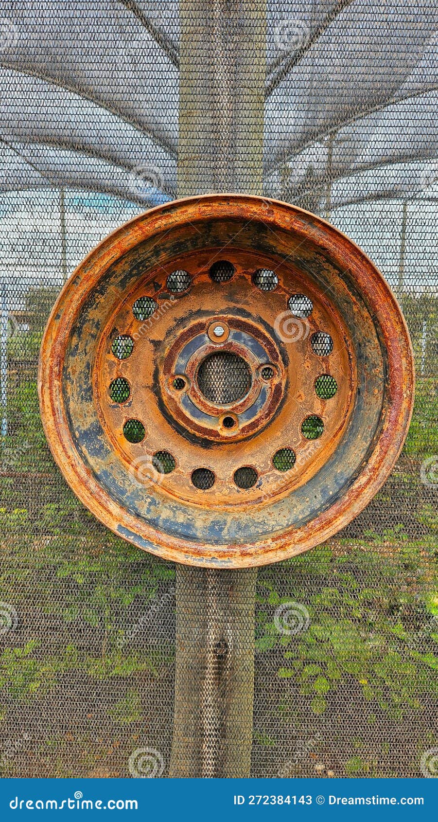 Old Rusty Car Wheel Serving As a Support in a Nursery Stock Image ...