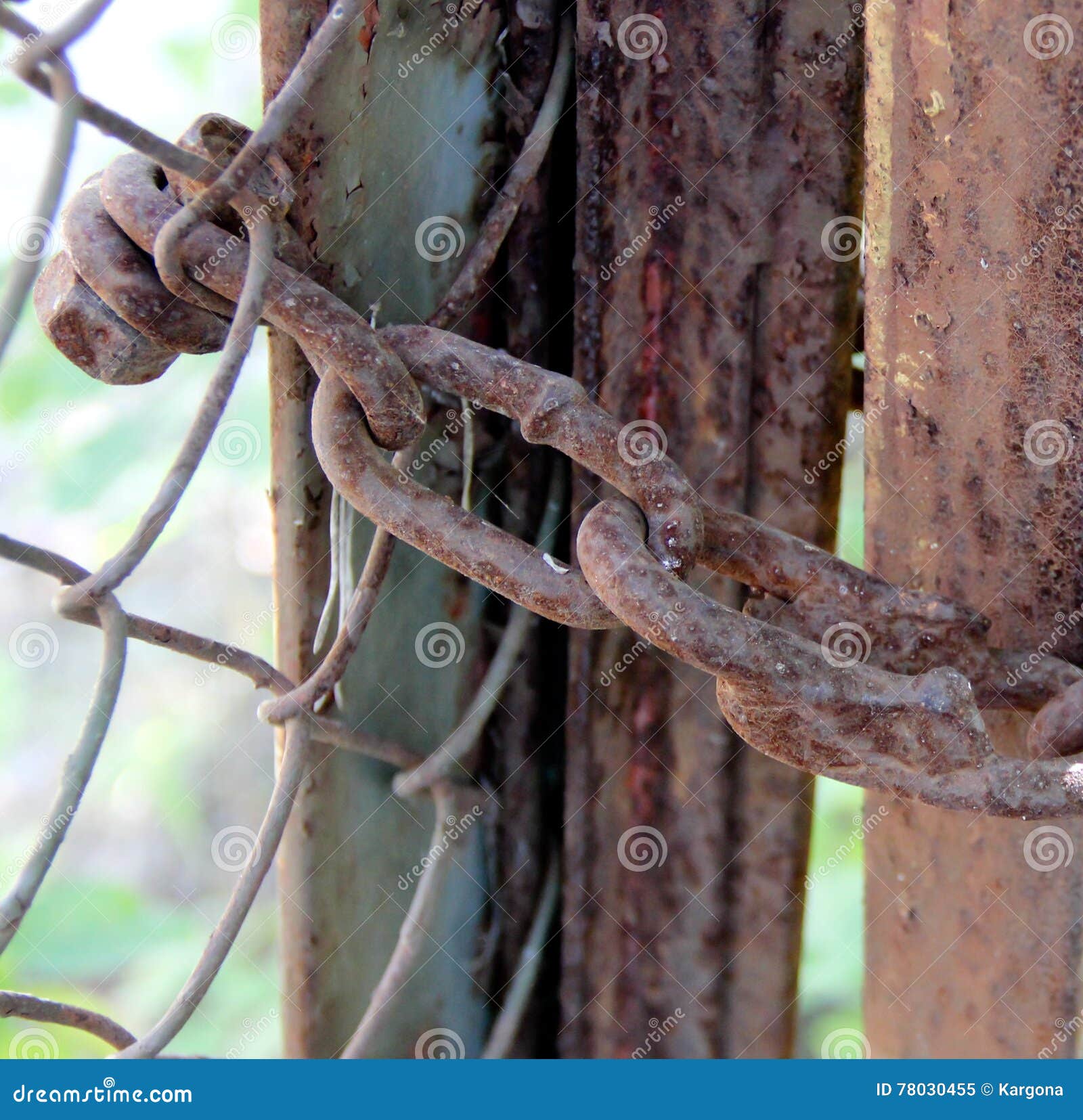 Old Rusty Chain As a Lock on an Old Gate Stock Image - Image of wire ...