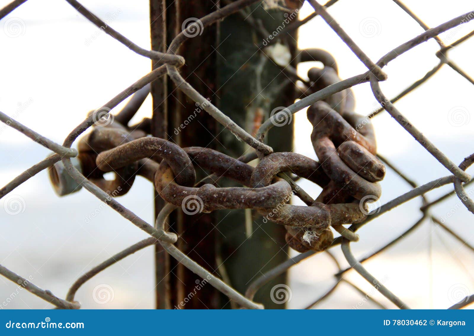 Old Rusty Chain As a Lock on an Old Gate Stock Photo - Image of hold ...
