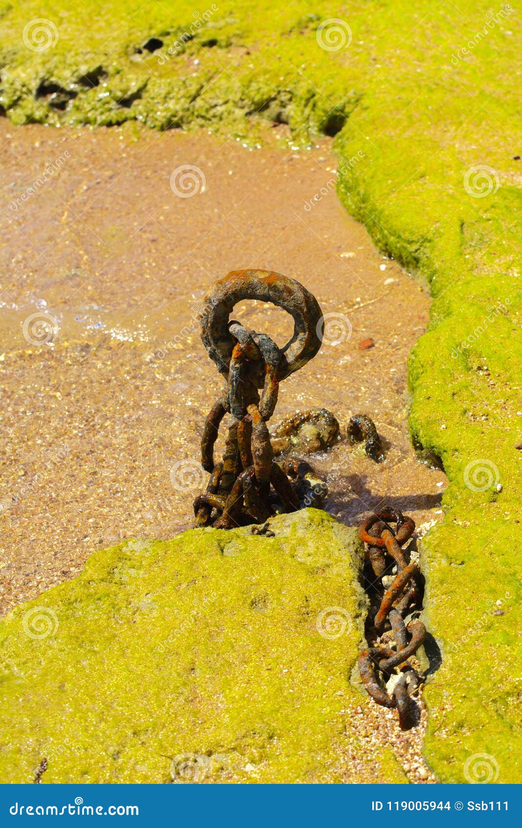 An Old Rusty Chain is Thrown on the Seashore Against a Background Stock ...