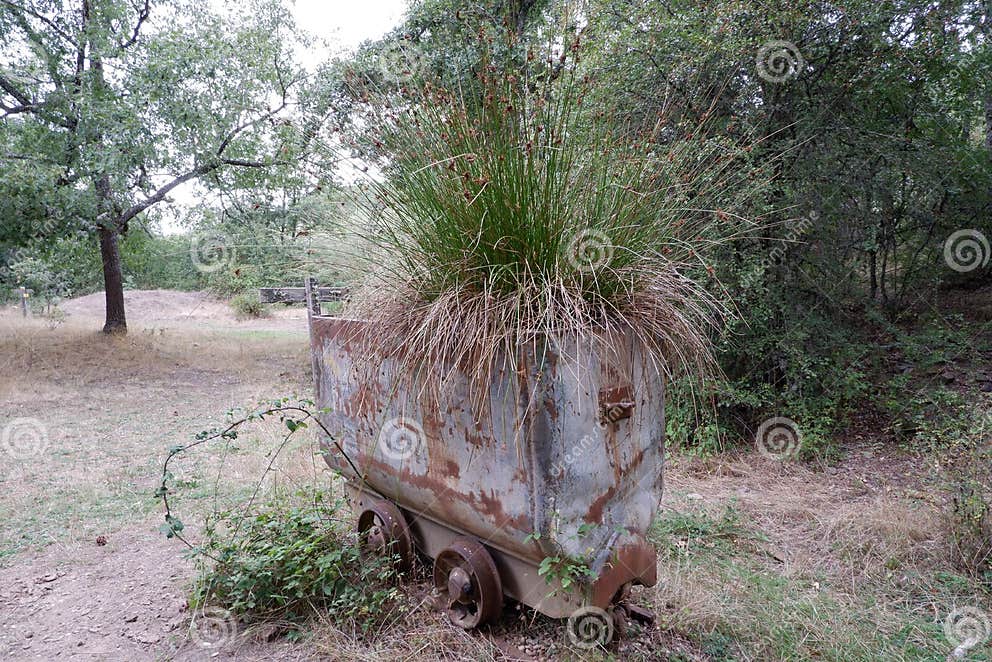 Old rusty damaged wagon stock photo. Image of metal - 228985482