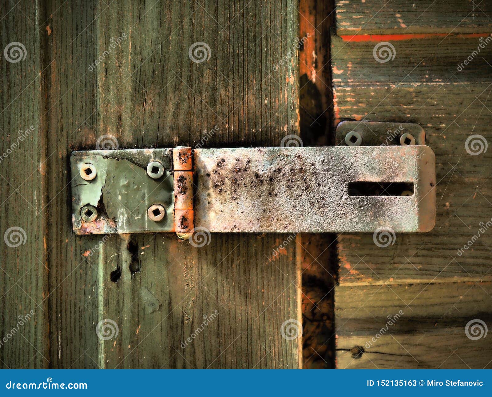 Old rusty lock on the door stock illustration. Illustration of mammals ...