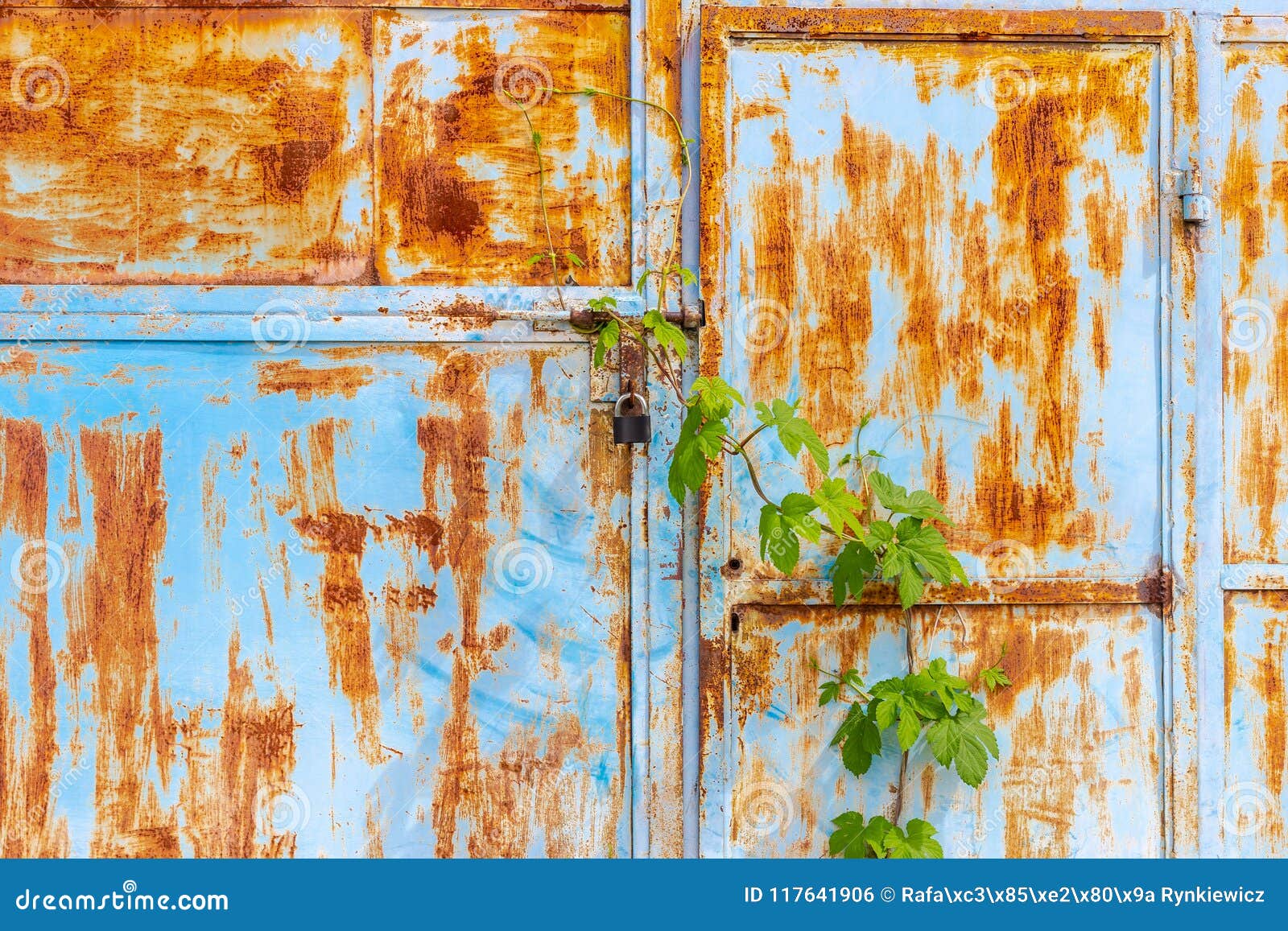 Old Rusty Door for Use As a Background Stock Photo - Image of texture ...