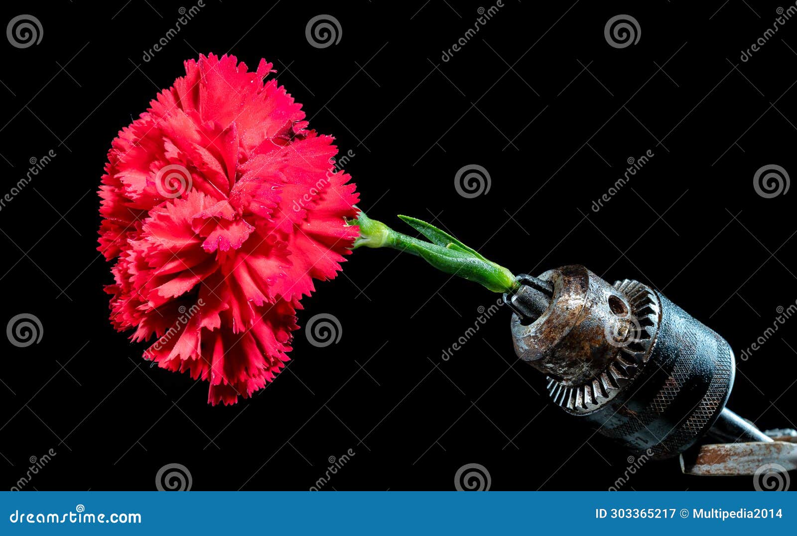 Old Rusty Drill Head and Carnation on a Black Background Stock Image ...
