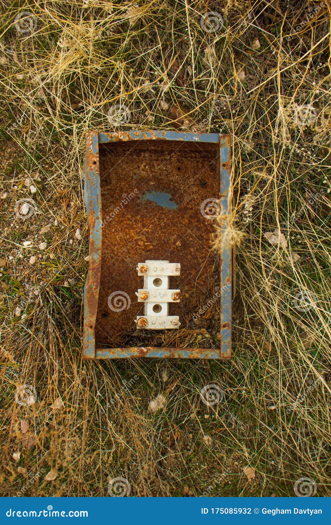 An Old Rusty Electrical Switch in the Grasses Stock Photo - Image of ...