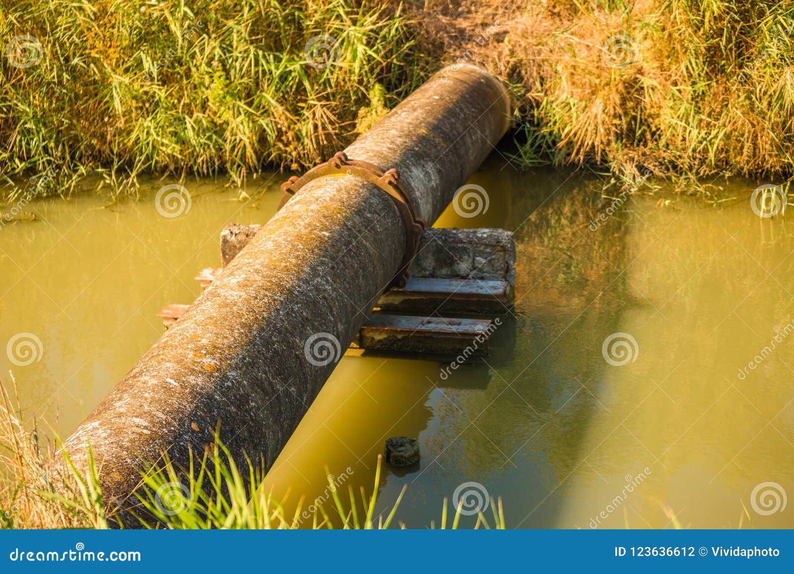 Old Rusty and Encrusted Pipe Stock Photo - Image of irrigation, nature ...