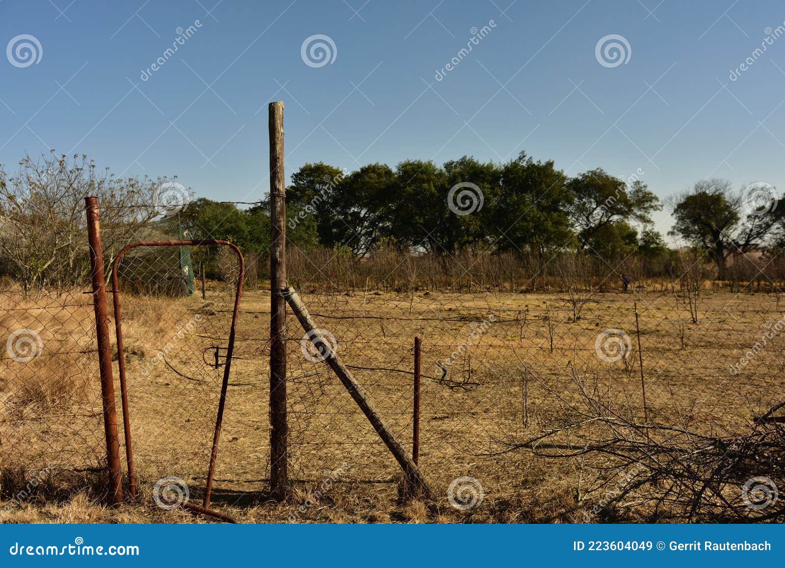 An Old Rusty Farm Gate and Droopy Fence Stock Image - Image of ...