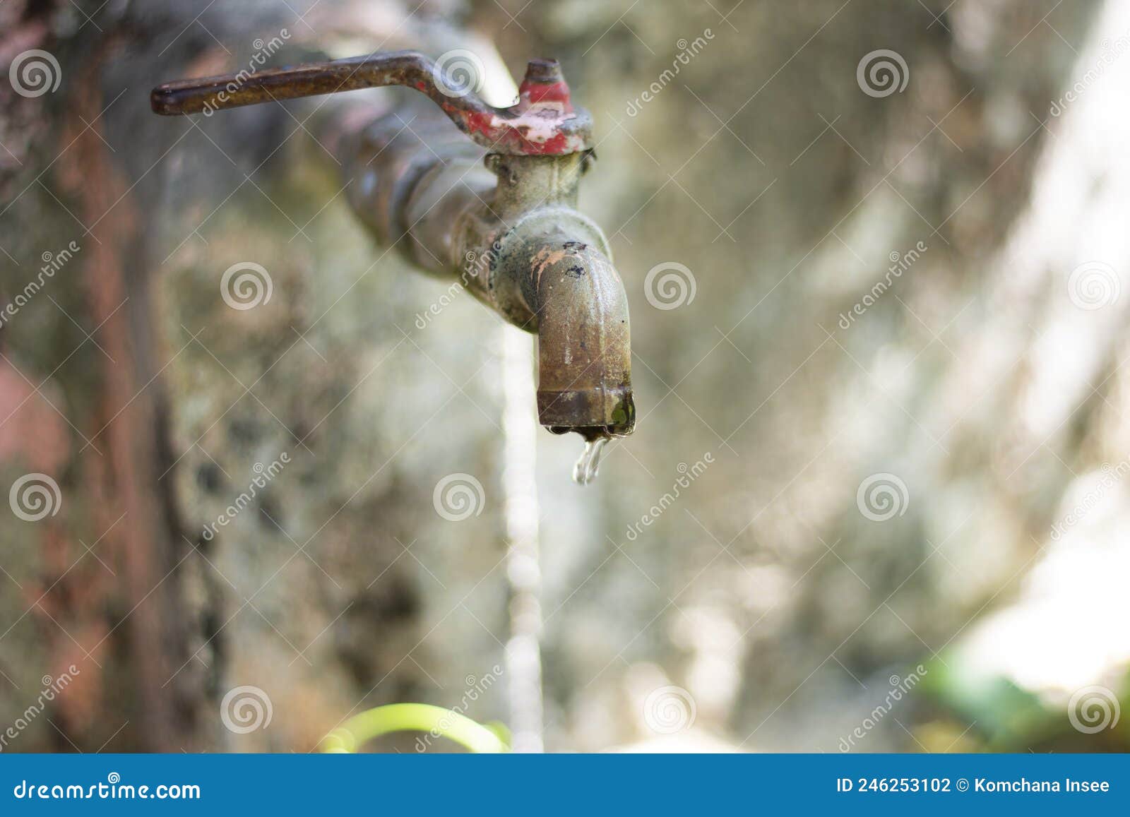 Old Rusty Faucet Dropped Water Stock Photo - Image of peeling, wildlife ...