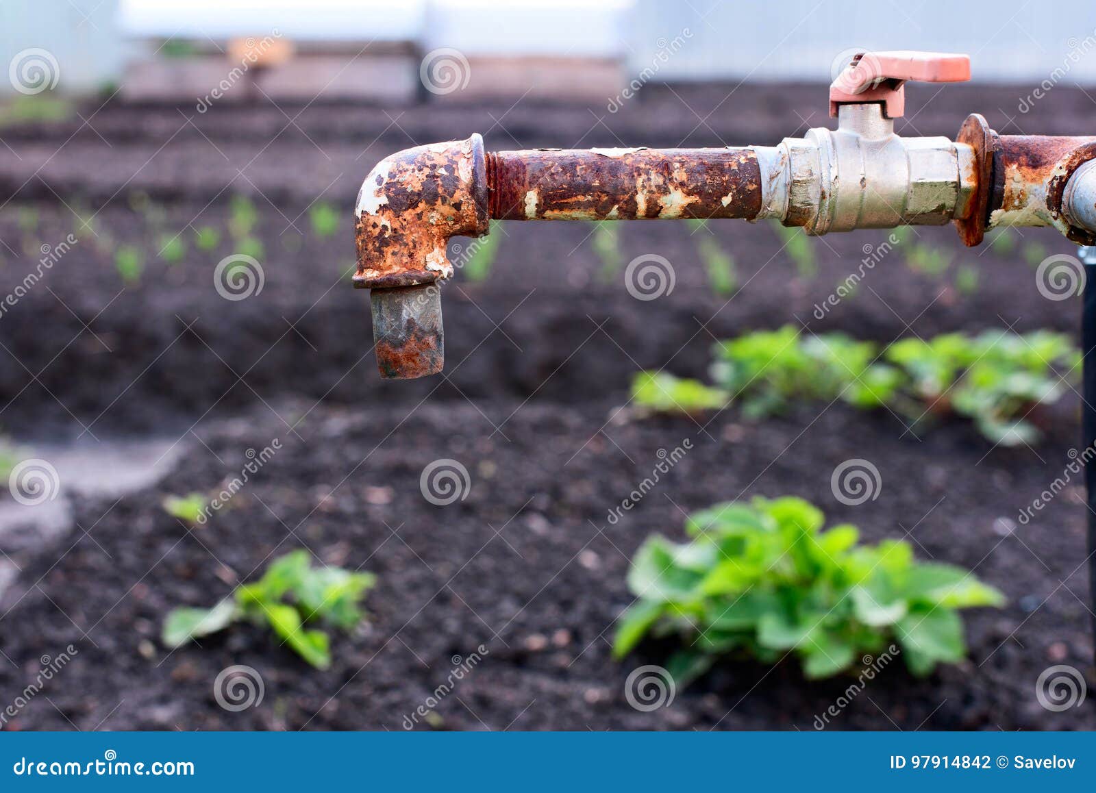 Old Rusty Faucet with a Valve Stock Photo - Image of grass, green: 97914842
