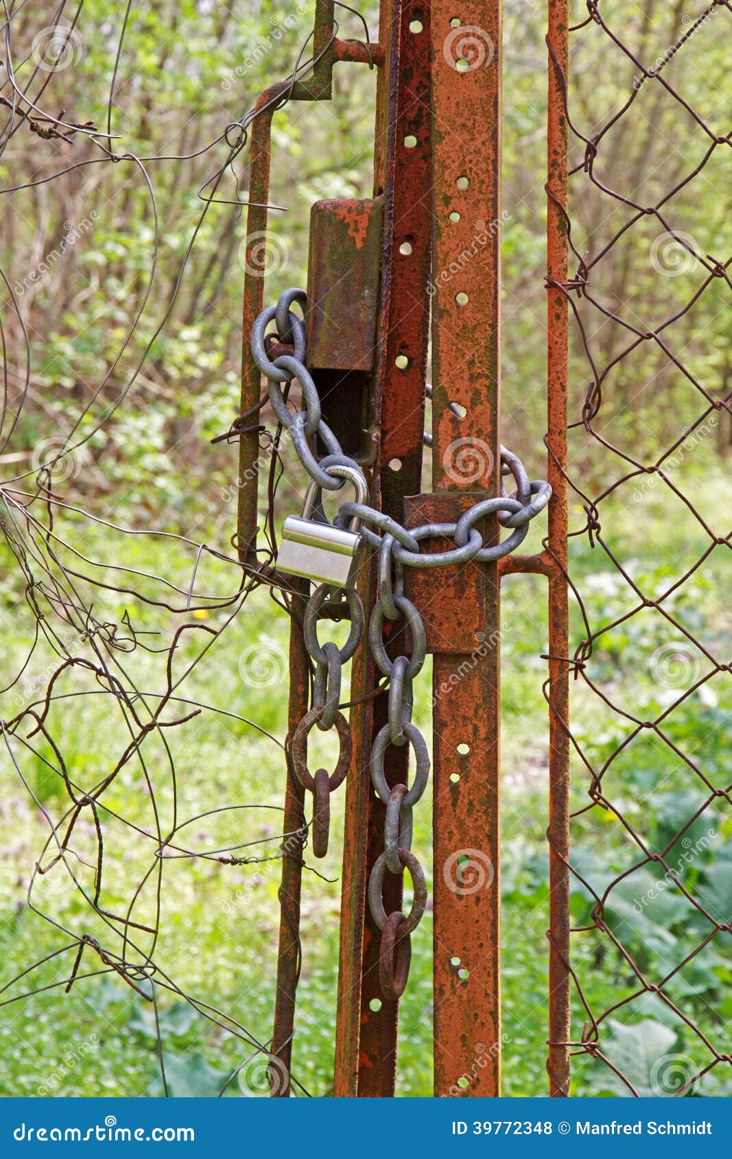 Old rusty fence stock photo. Image of corrugated, gate - 39772348